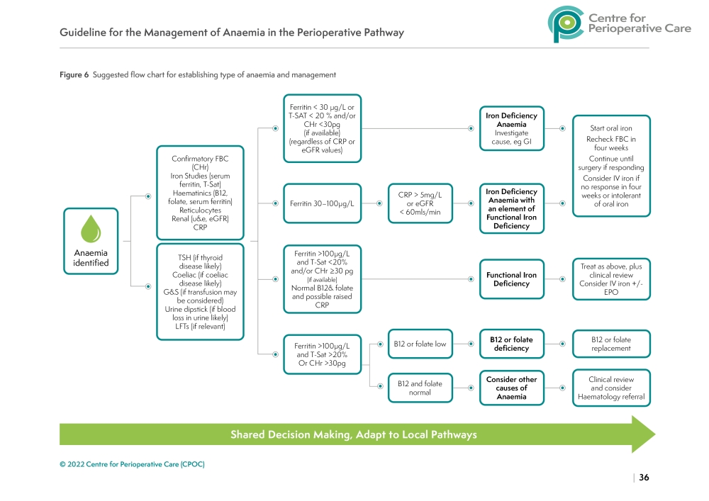 Anaemia in the Perioperative Pathway | Centre for Perioperative Care